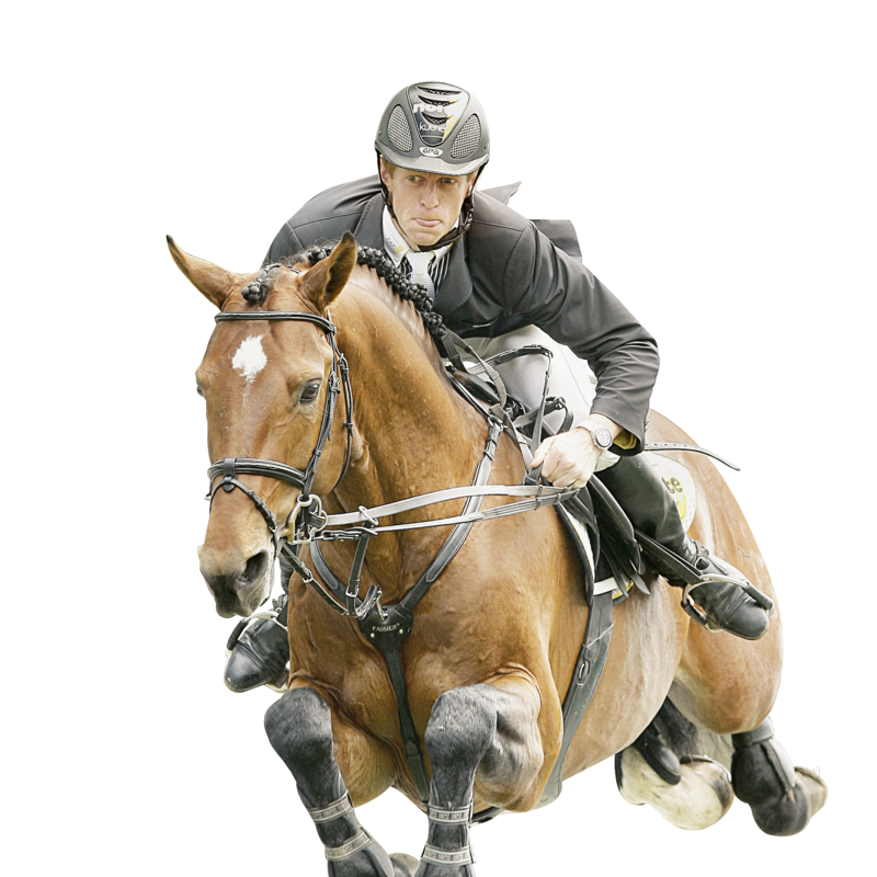 Vulkano | Hengste Total