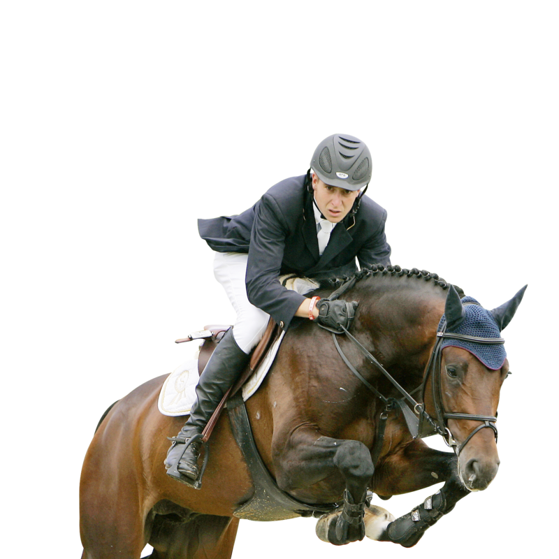 Conthargos | Hengste Total